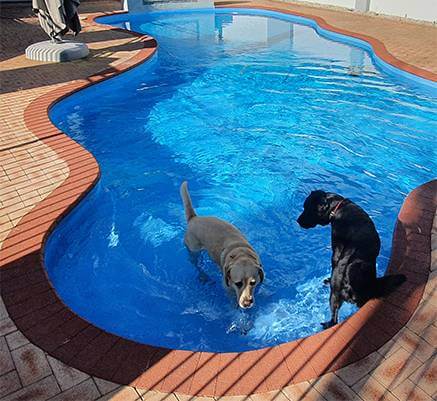 Vinyl Pool Conversion Perth - Vinyl to Fibreglass | Pools 101